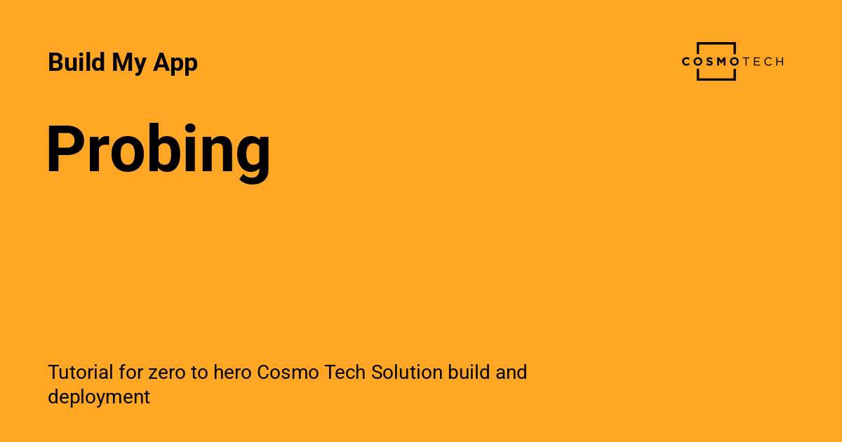 Probing - Build My App